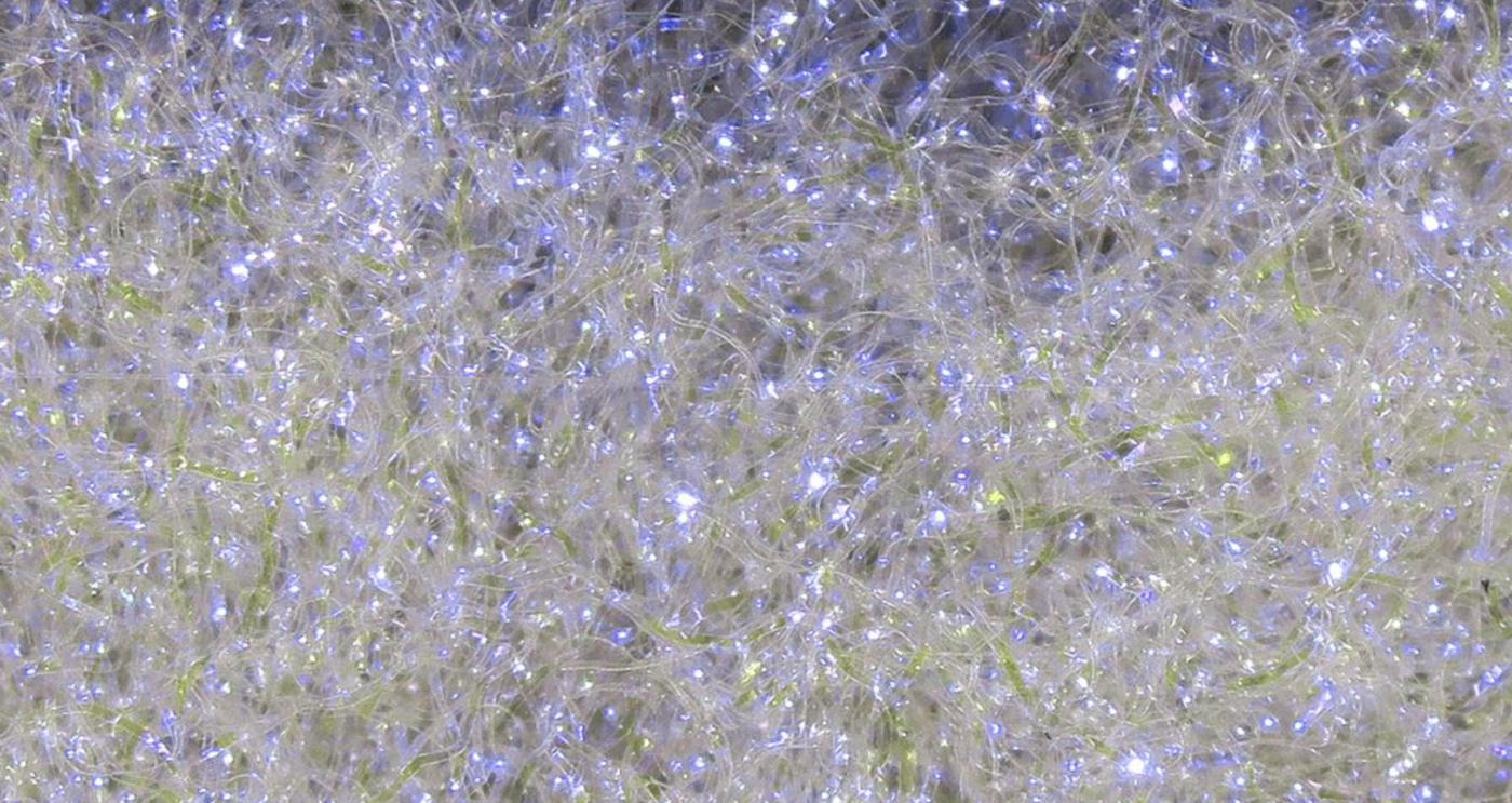 Ice Dub | Hatch Match’r Fly & Tackle