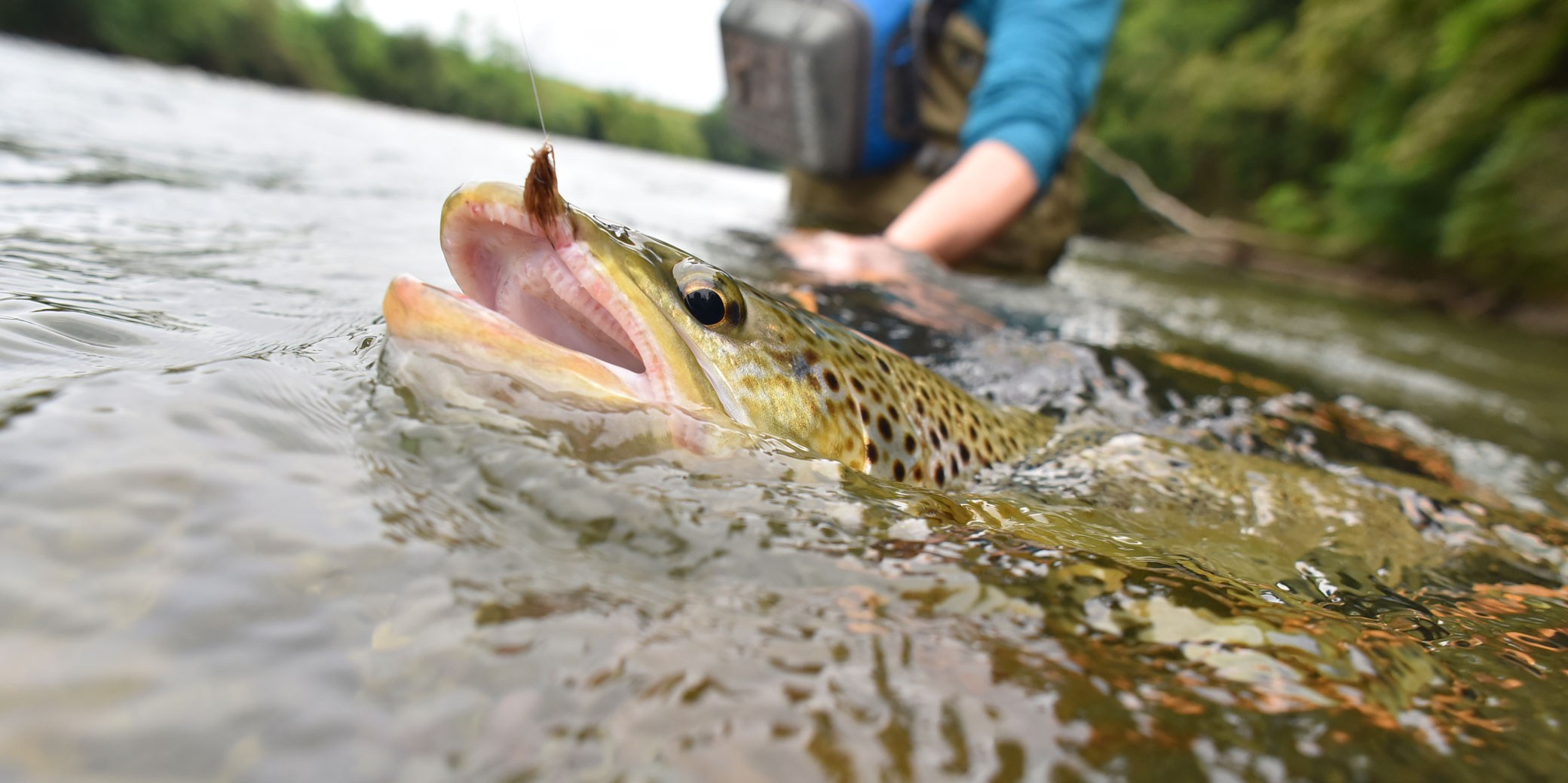 Products | Hatch Match’r Fly & Tackle