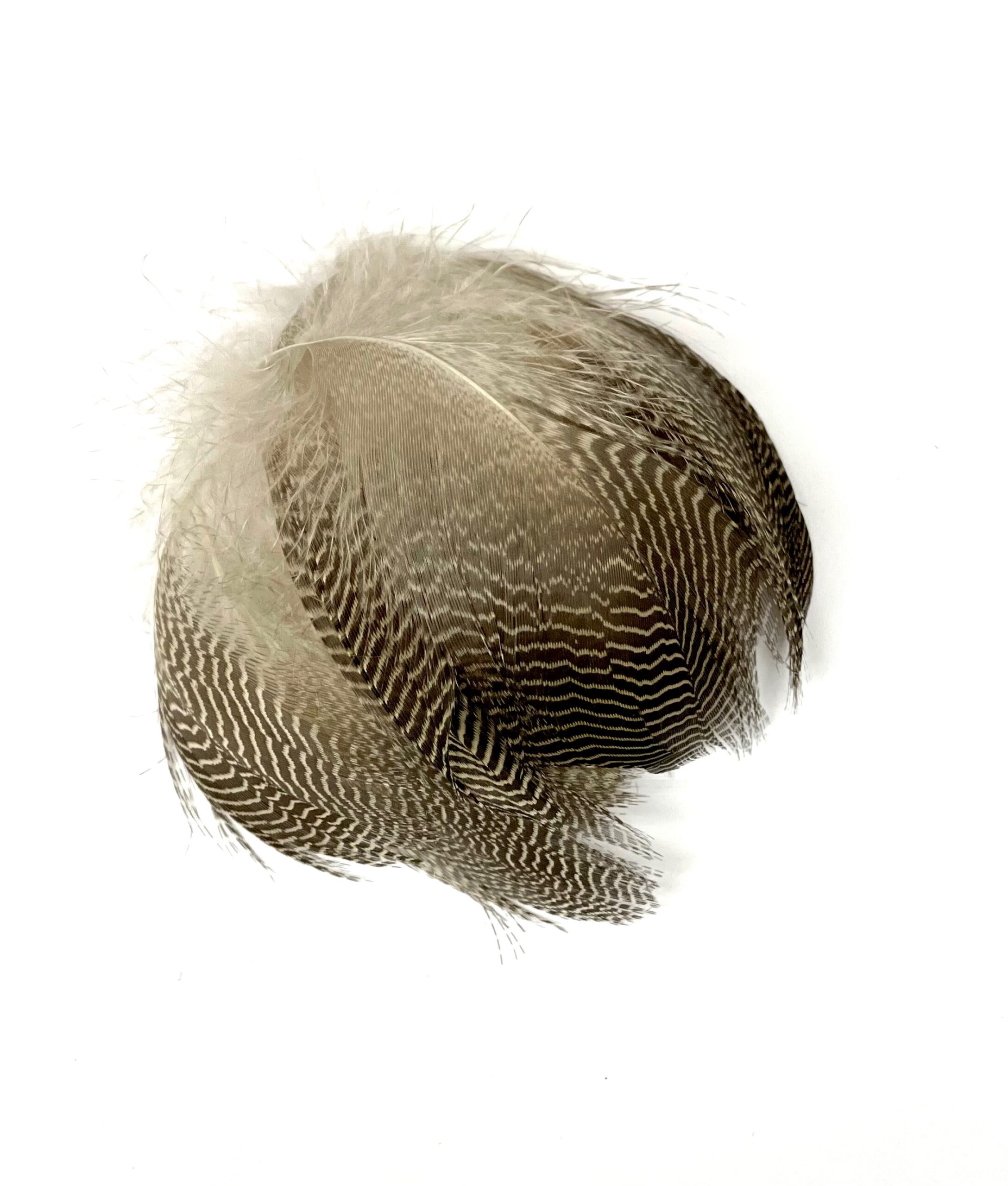 Gadwall Flanks | Hatch Match’r Fly & Tackle
